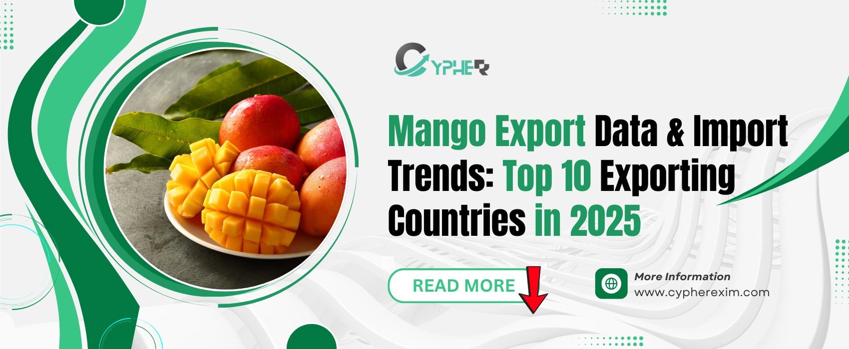 Mango Export Data & Top 10 Exporters in 2025